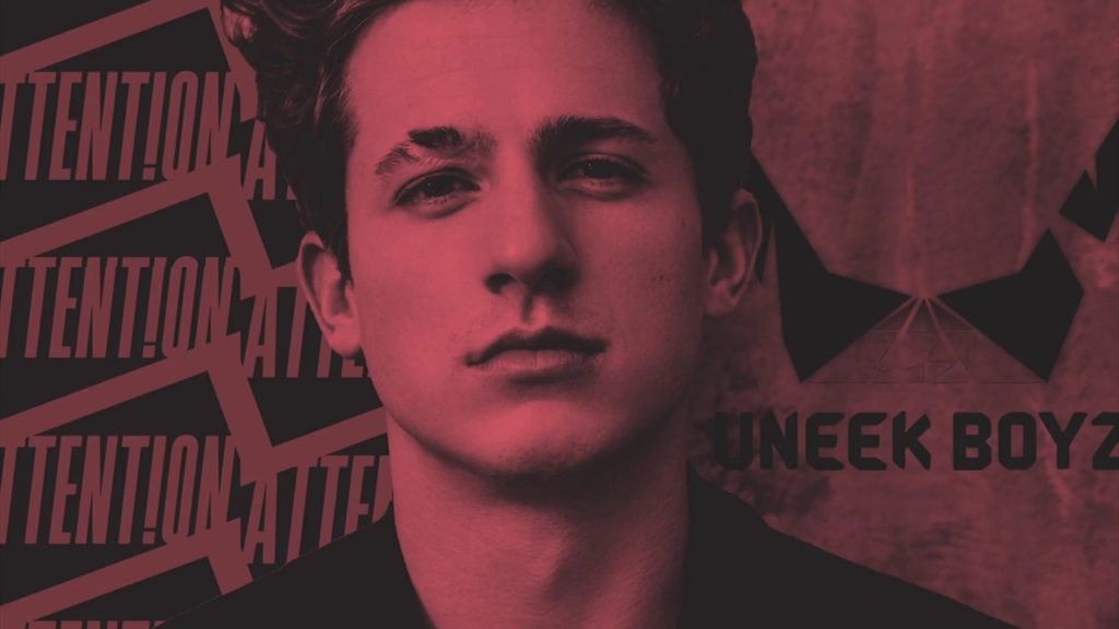 Pop Star Charlie Puth Engaged to "Best Friend" Brooke Sansone as Joe ...