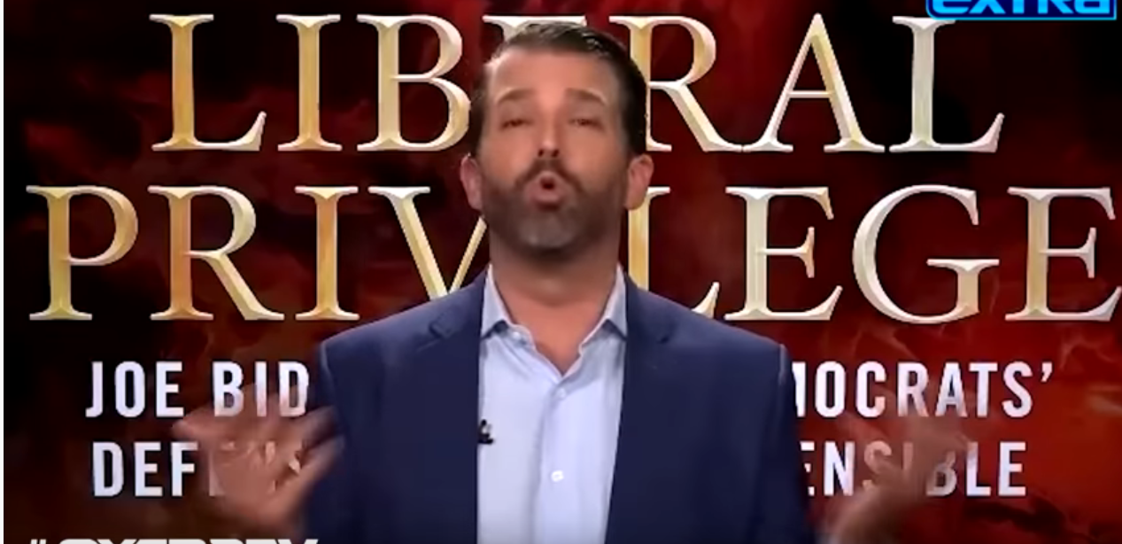 Sales Bust: Donald Trump Jr's Book, "Liberal Privilege" Drop to Number ...