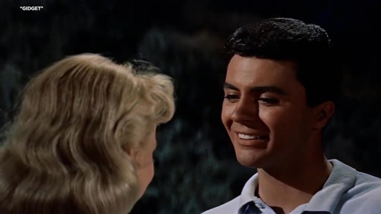 RIP James Darren, 88, Matinee Idol, Starred as Moondoggie in Original ...